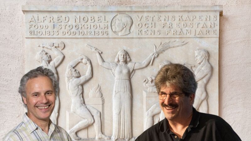 Nobelpriset i medicin 2024: Enkelt förklarat - Skåne Plus